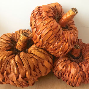 Anthropologie | Other | Anthropologie Rattan Wicker Pumpkins Fall Home ...